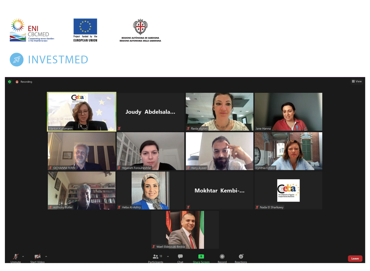 CEEBA consults with Egyptian BSOs to find ways to support young ...