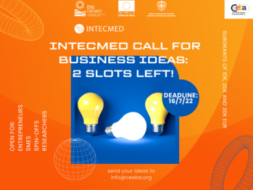 The Confederation of Egyptian-European Business Associations – Ceeba